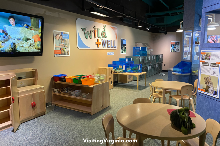 Virginia Living Museum – Visiting Virginia